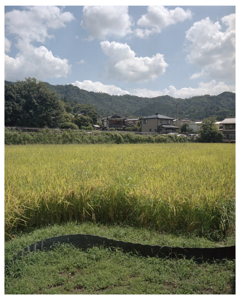 Il riso dell’imperatore – The emperor’s rice – Nipponia Magazine